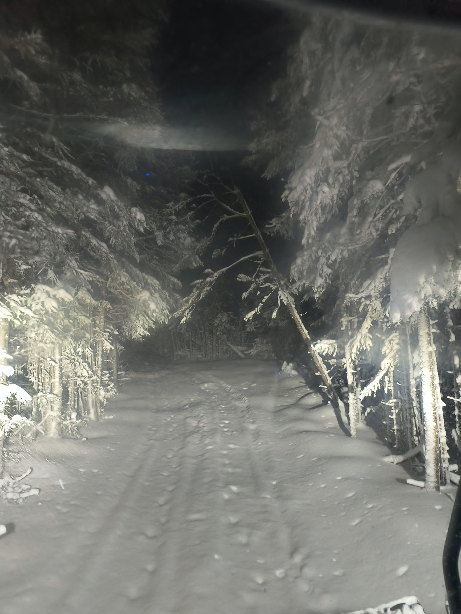 January 13, 2026 - Junction Trail Blazers